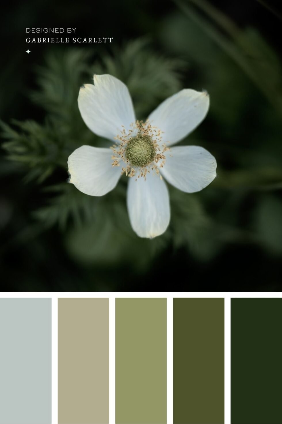 Green Colour Palettes for Your Next Project | Color Inspiration