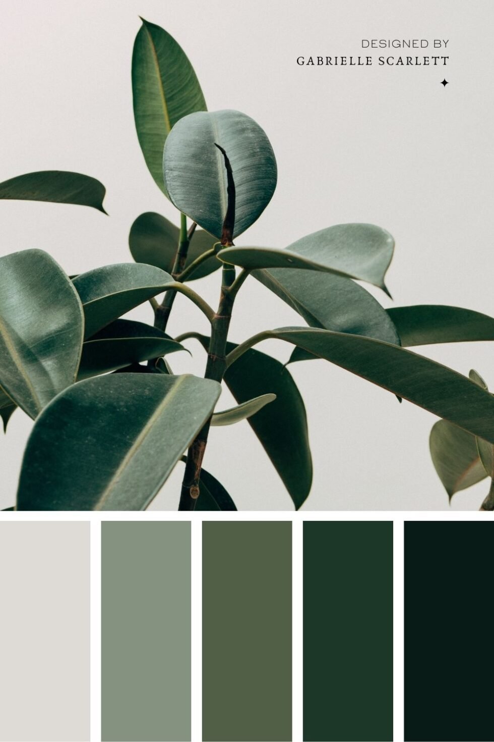 Green Colour Palettes for Your Next Project | Color Inspiration