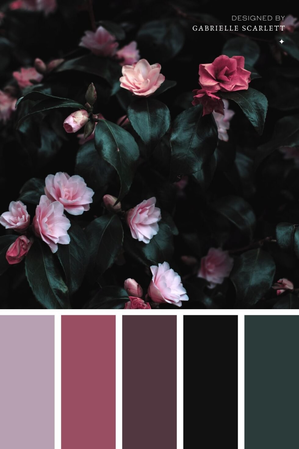 Pink Colour Palettes for Your Next Project | Color Inspiration