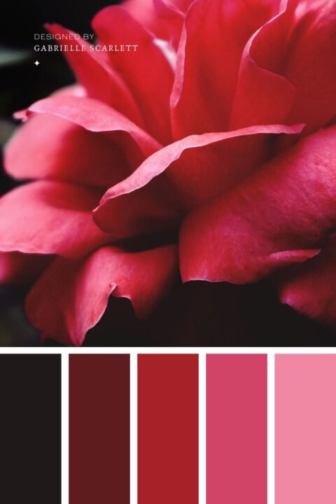 Red Colour Palettes for Your Next Project | Color Inspiration