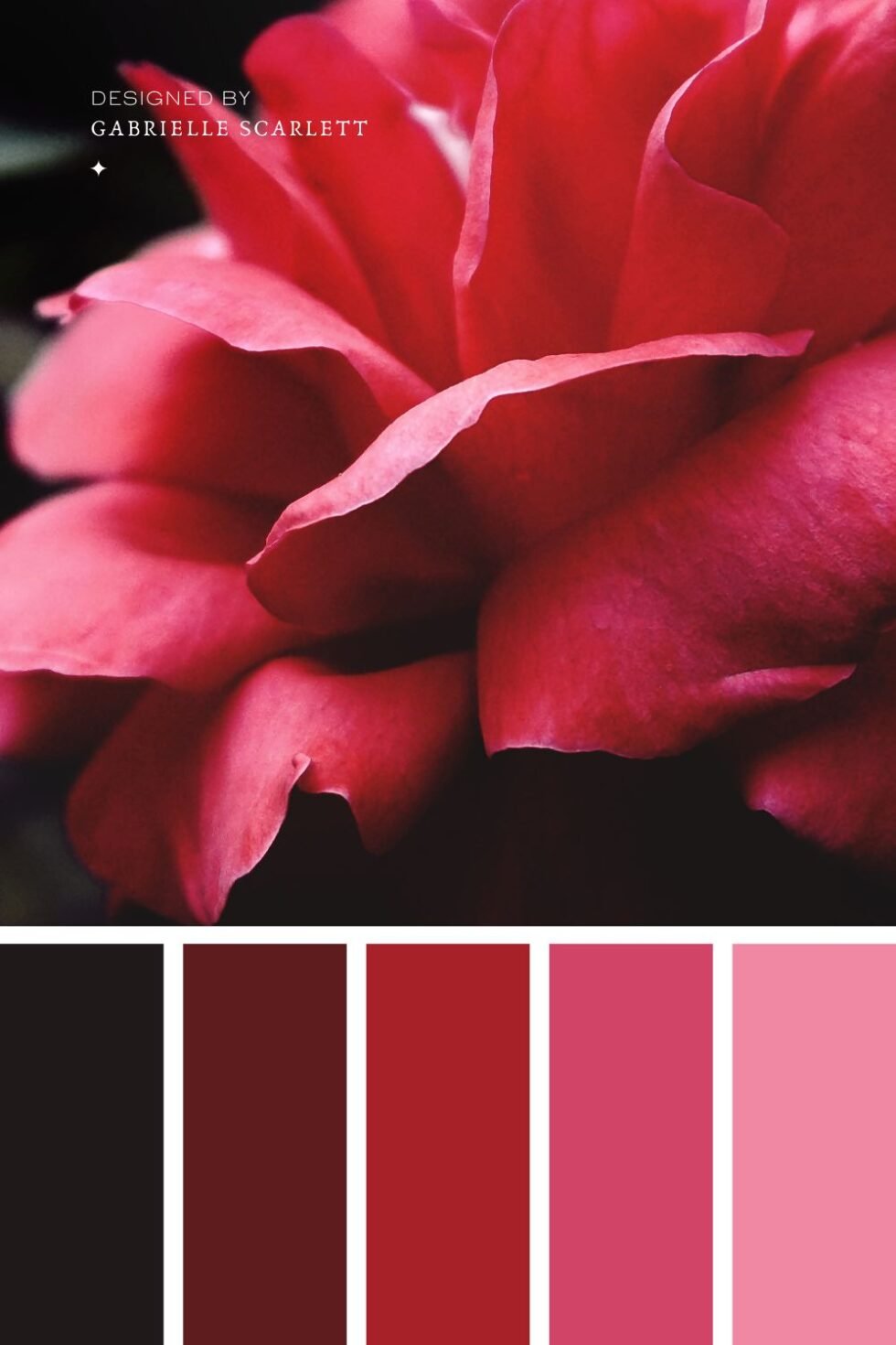 Red Colour Palettes for Your Next Project | Color Inspiration